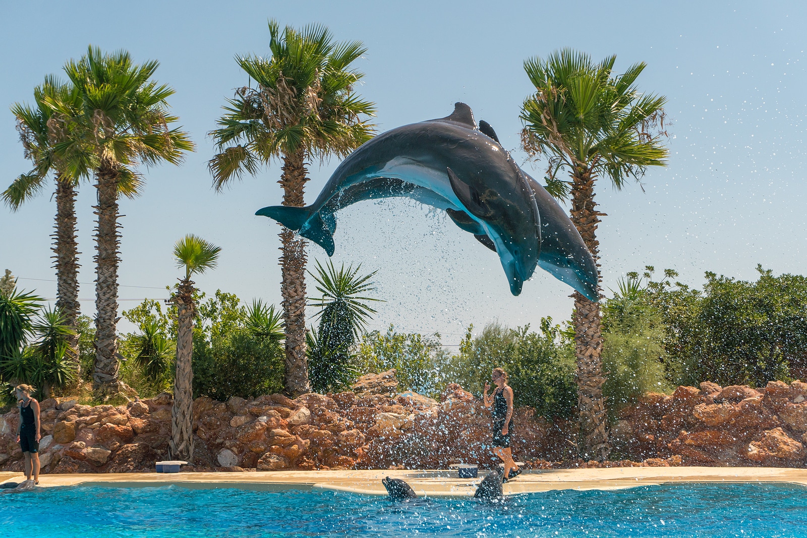 Ideas for fun things to do in Athens city | Electra Hotels